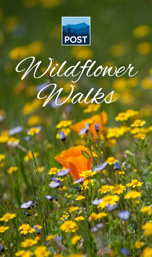 Wildflower Walks - POST Guides